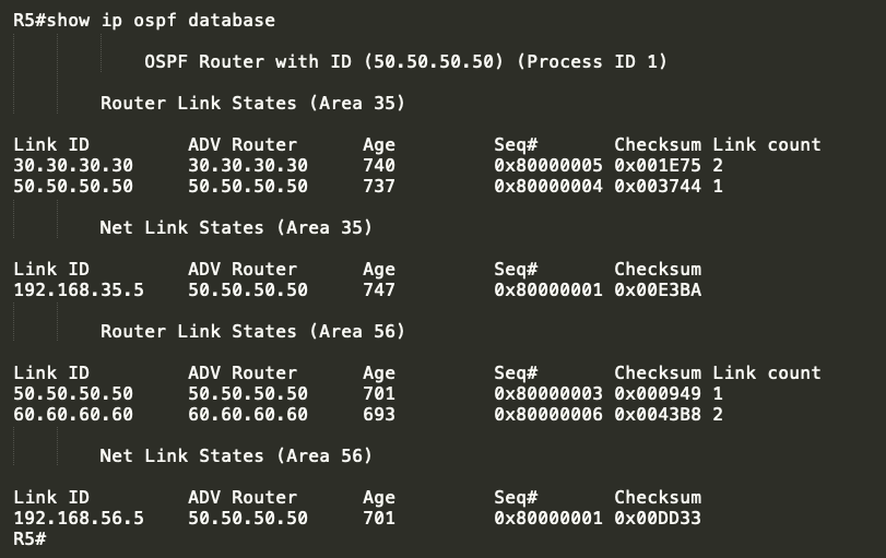 Exploring OSPF Network Types – NETWORK LESSON